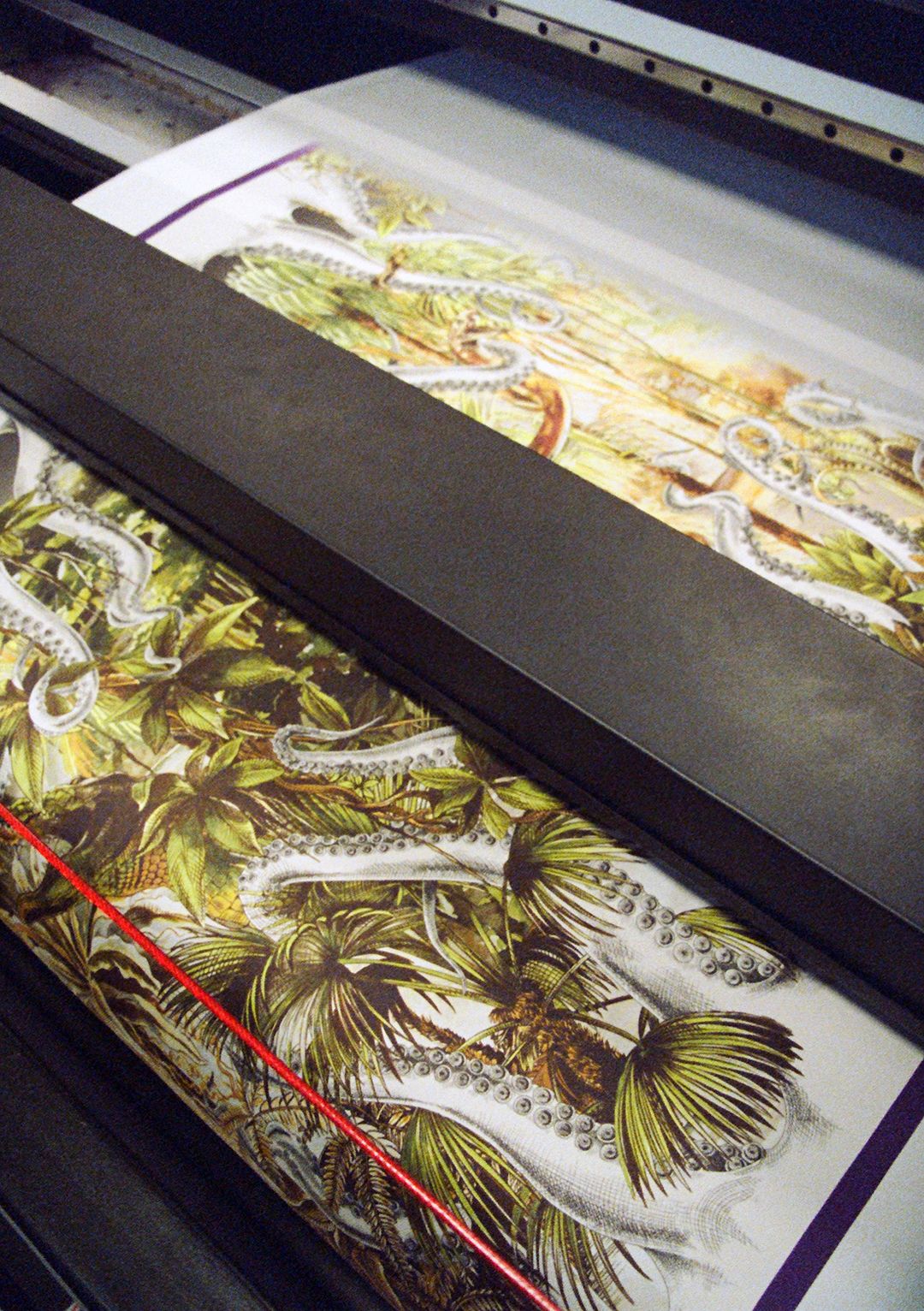 Mantero x Octopus - A collaboration that combines the iconic tentacle ...